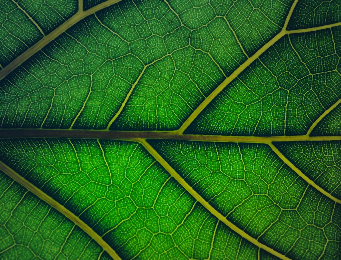 Environmental - ARQIS