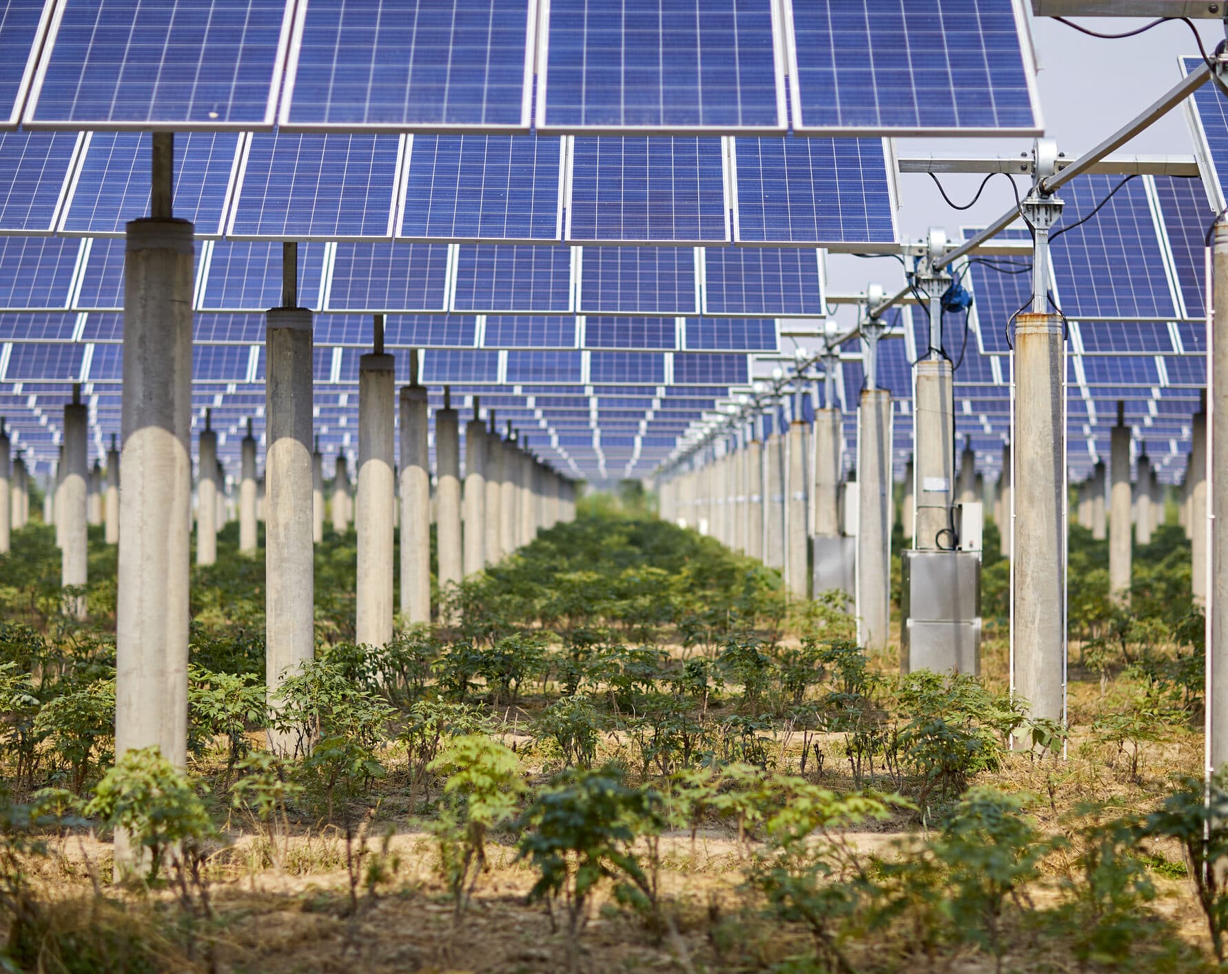 Agri-PV now privileged - Regulatory & Product Blog